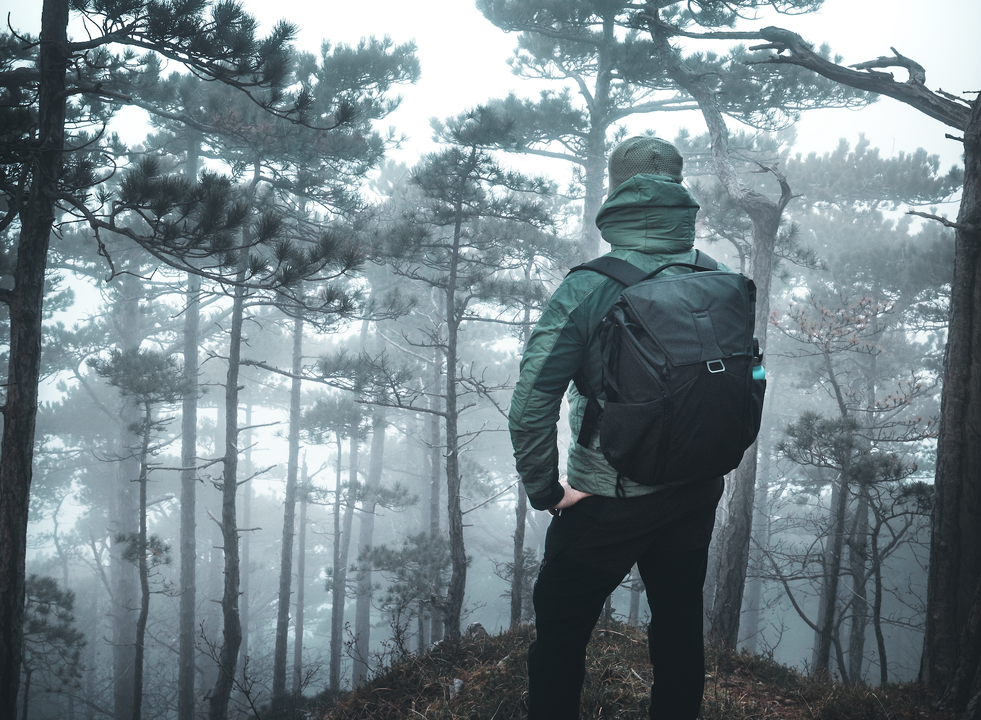 The Investors Journey - Ramsey Crookall • MP Indices